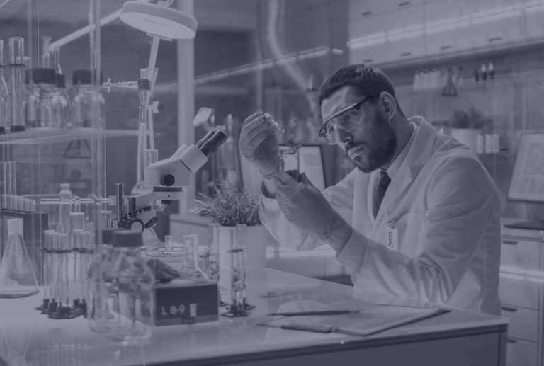 Disciplines - Intellex