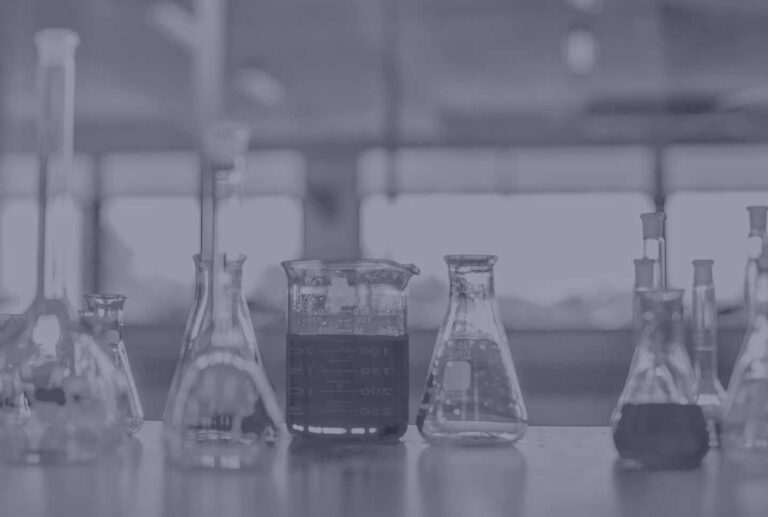 Disciplines - Intellex