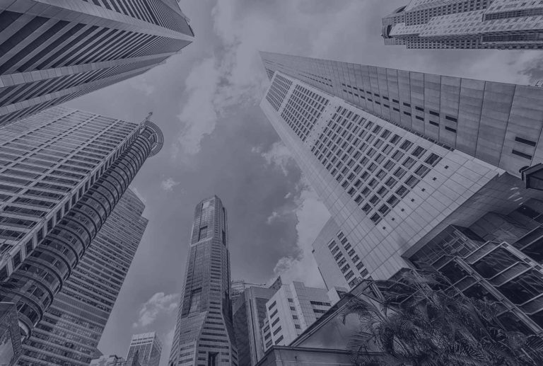 Disciplines - Intellex