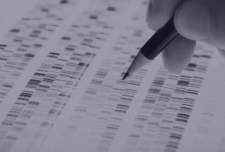 Disciplines - Intellex