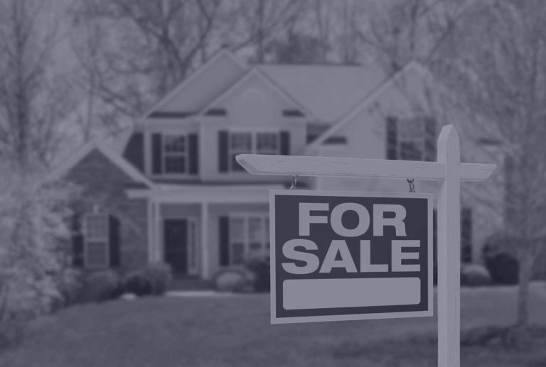 Disciplines - Intellex