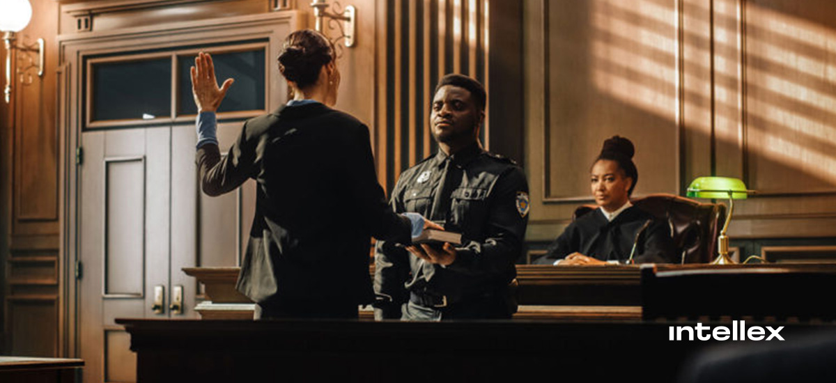 Guide to the Daubert Standard and Daubert Challenge