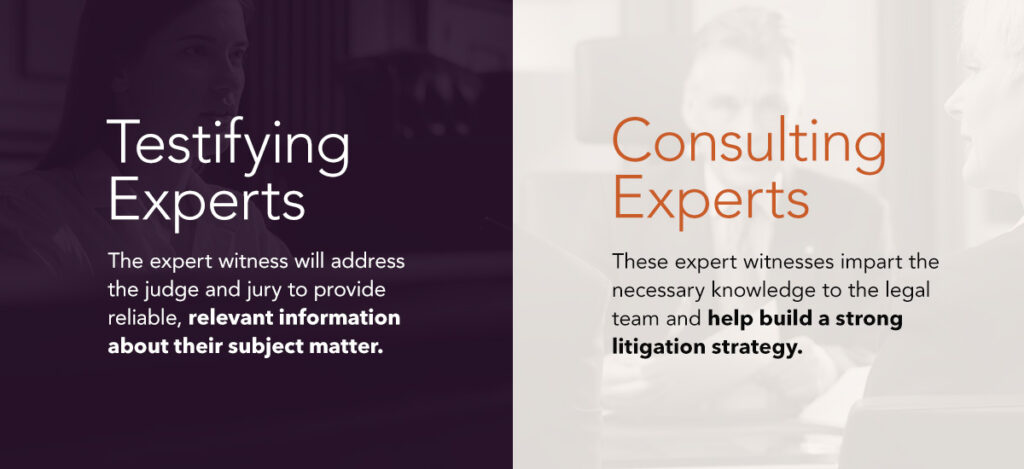 Types of Expert Witnesses | Intellex